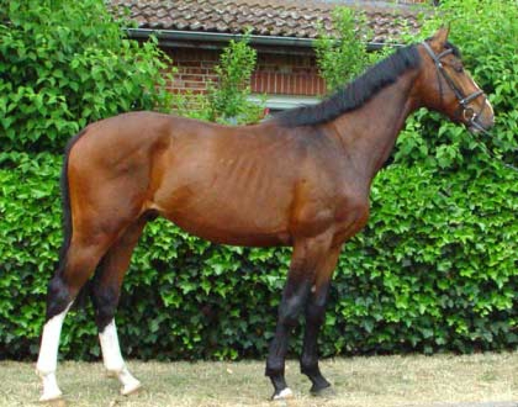 Wallach Kleinanzeigen | Wallach Annoncen | Wallach Inserate | Wallach ...