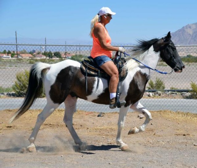 Wallach Kleinanzeigen | Wallach Annoncen | Wallach Inserate | Wallach ...